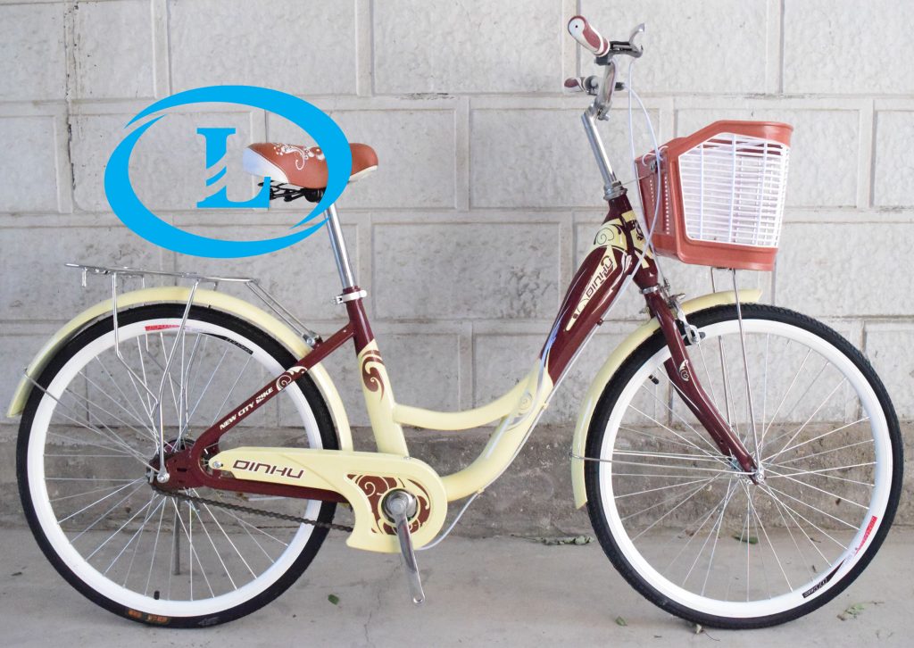 XE ĐẠP DINHU