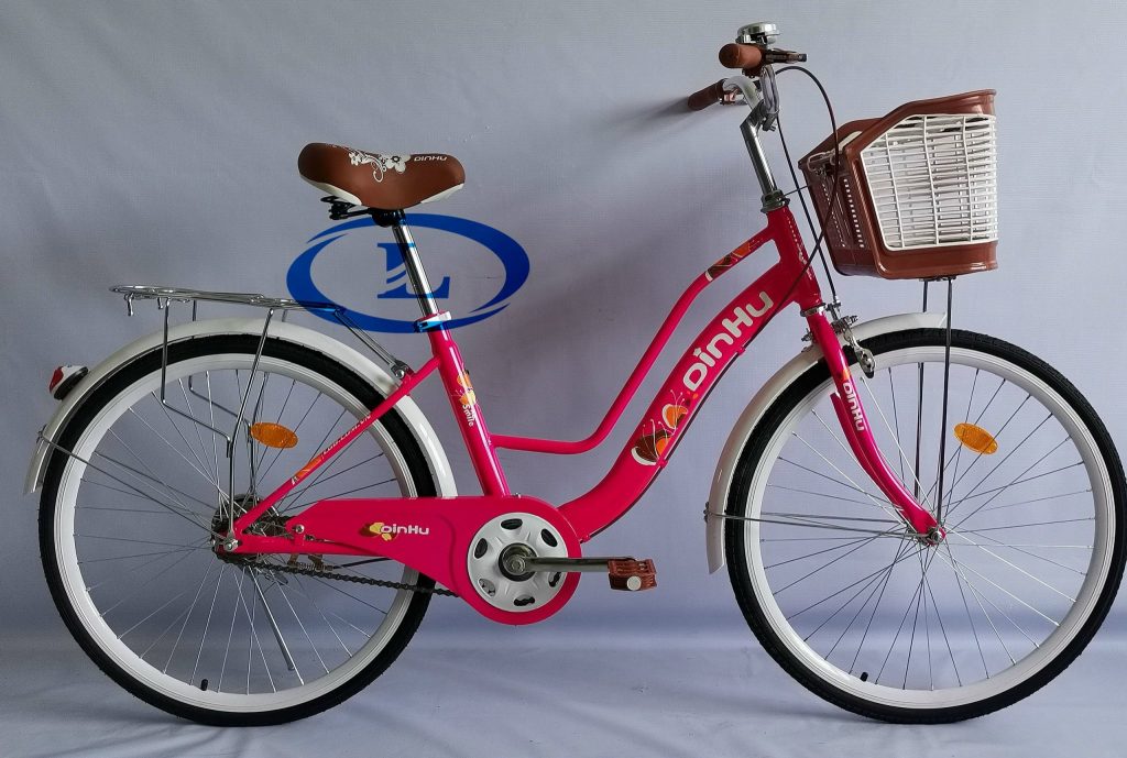 XE ĐẠP DINHU